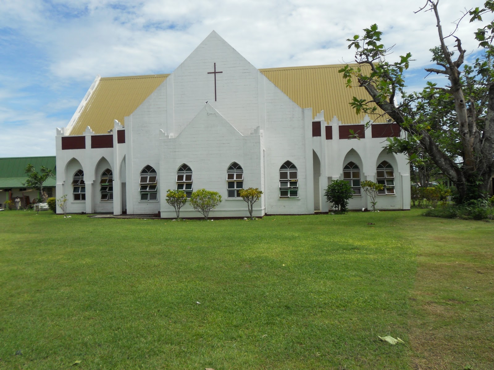 Diana in Fiji: Visiting the local village - Viseisei