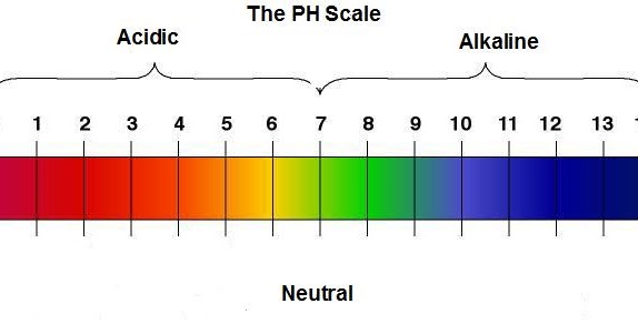 Acids and Bases - Lemon Juice and Toothpaste: pH