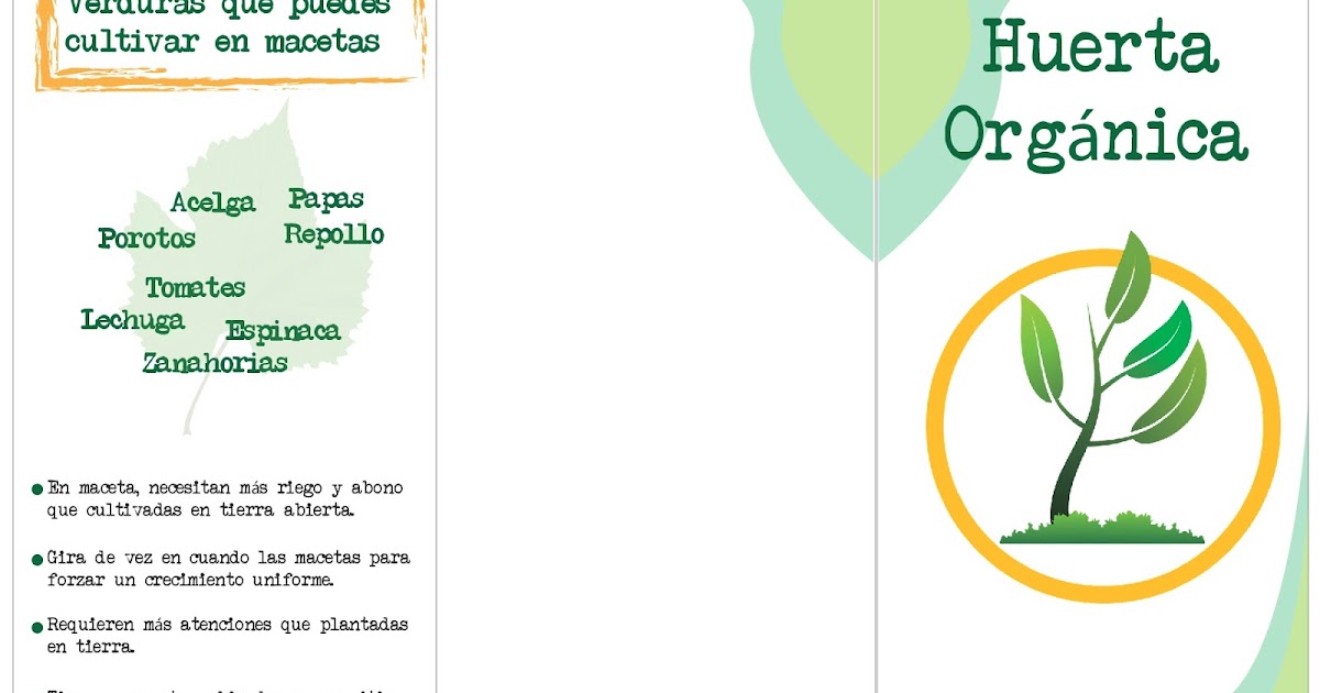 Desarrollo sostenible: Huerta Orgánica - Folleto