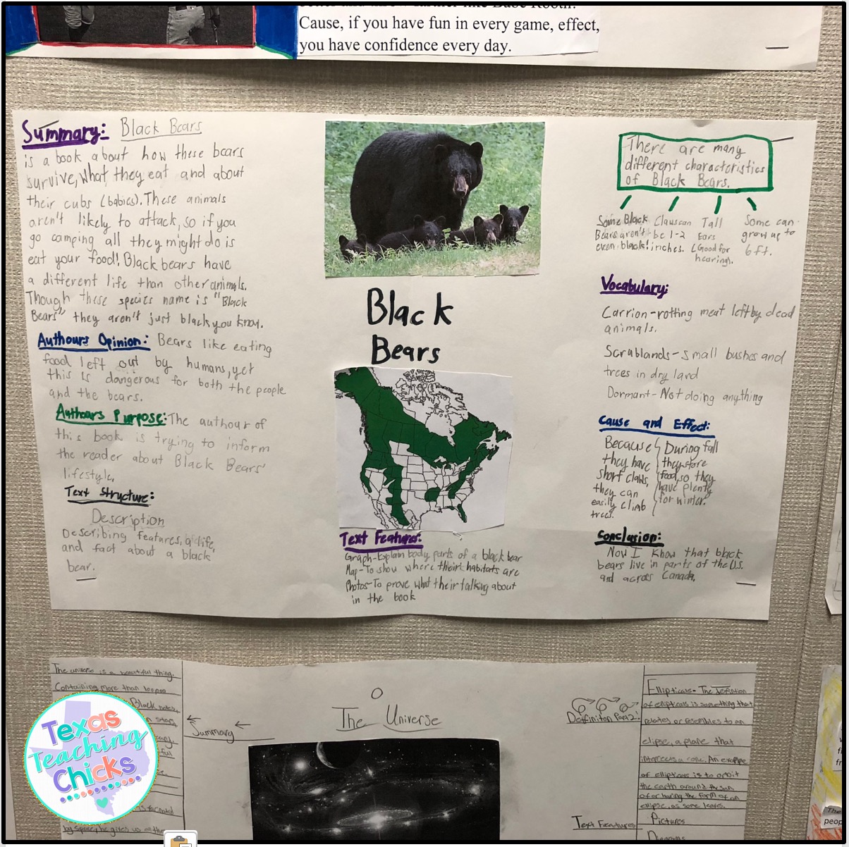 Nonfiction Book Poster Project - Texas Teaching Chicks