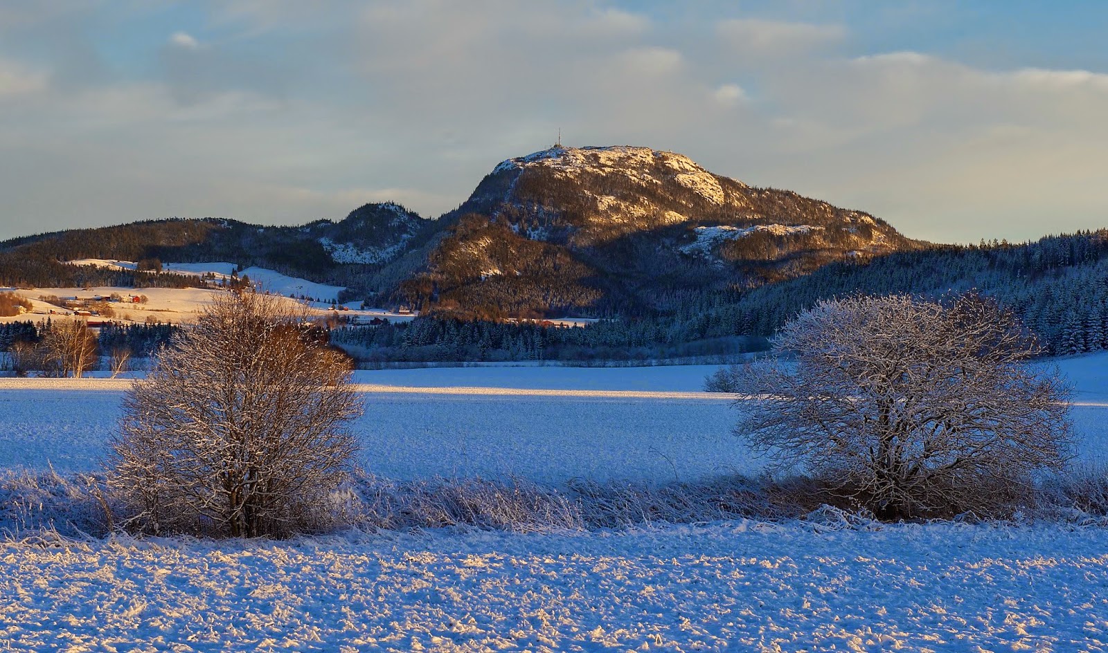 Naturfoto Einar Hugnes: Snømotiver fra Skatval og i Stjørdal