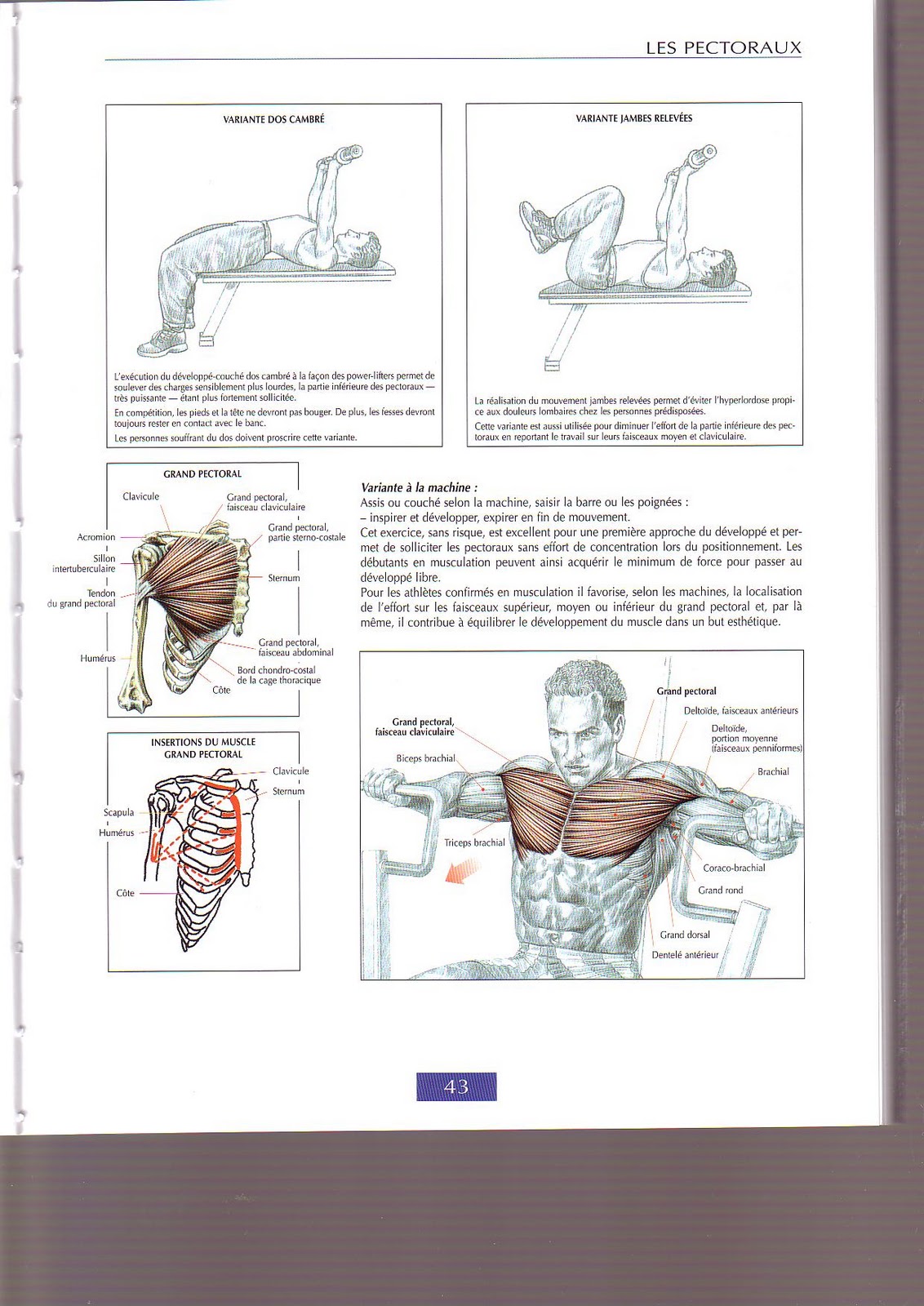 Fitness: EXERCICES