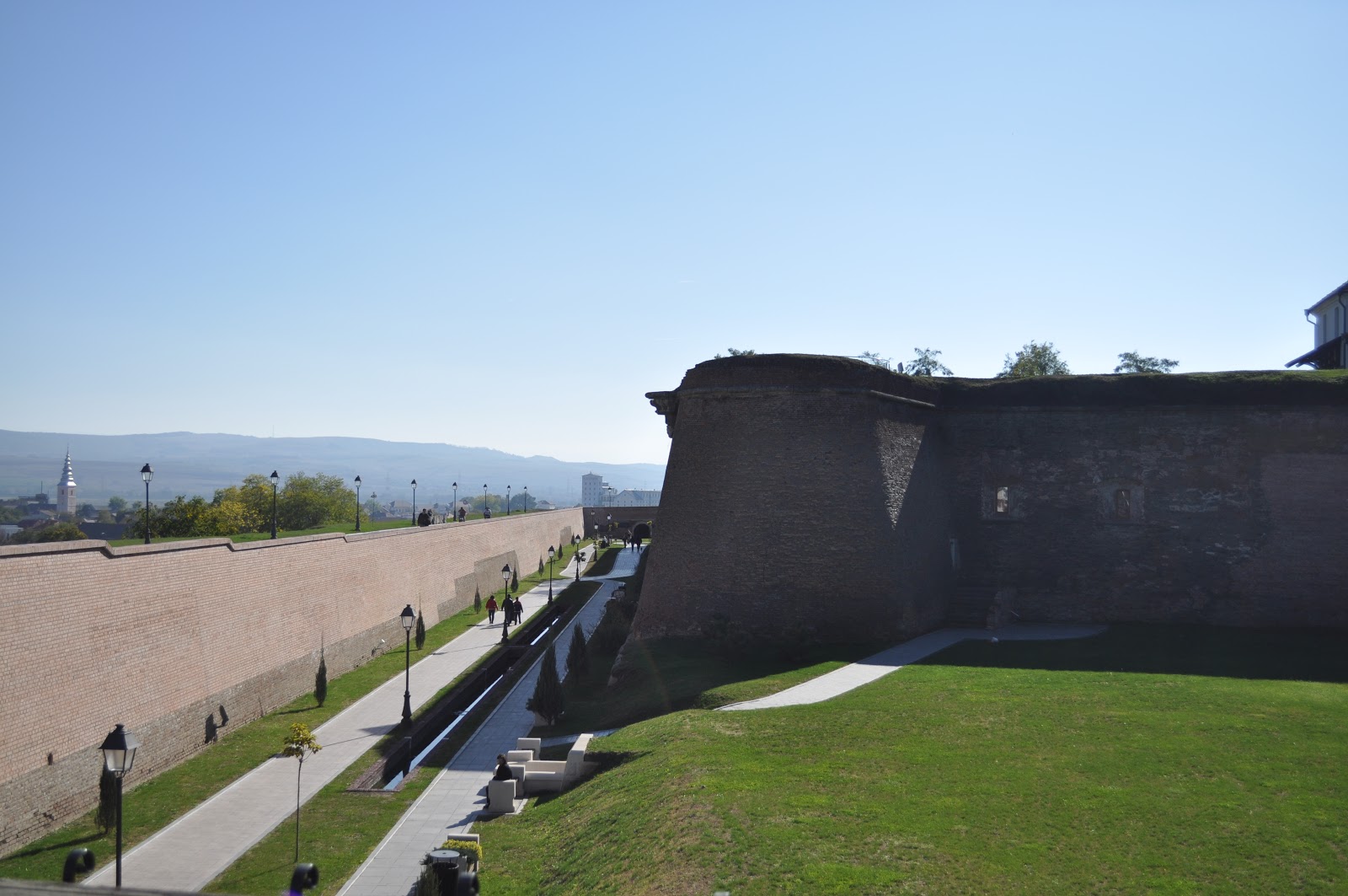Poze, Natura, Animale, Plante, Romania, Valcea, Ionut Ungureanu