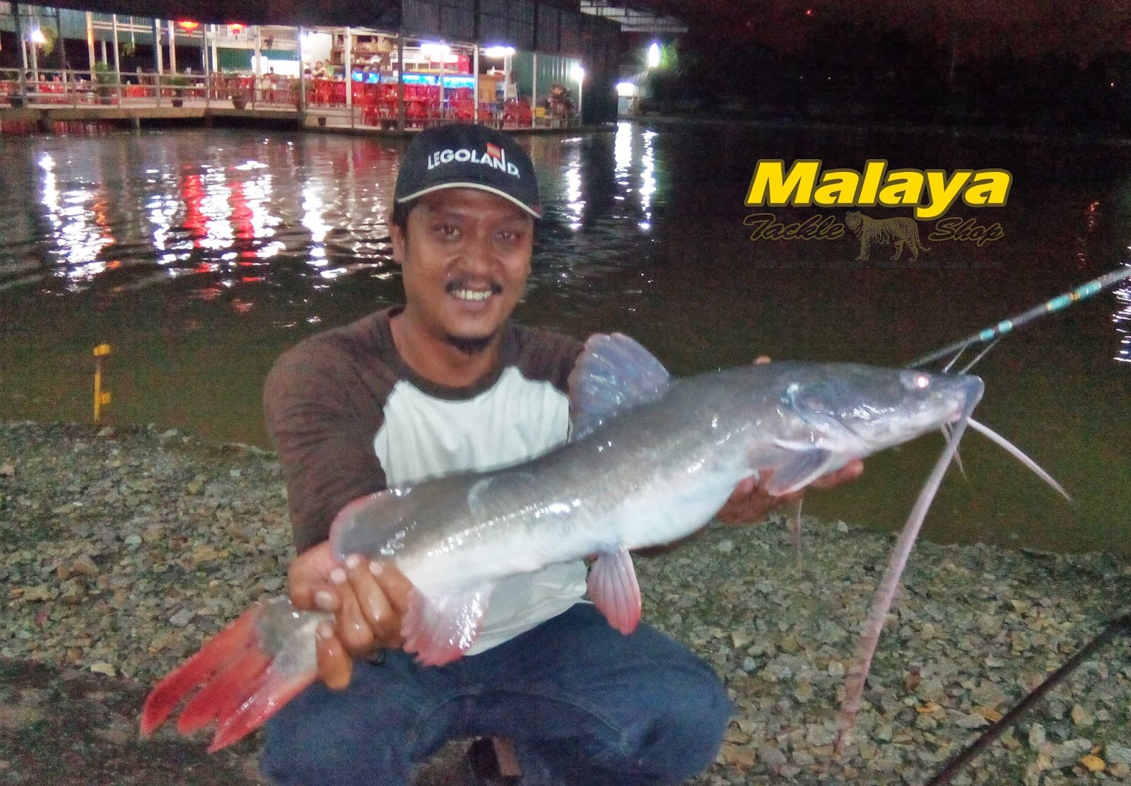 Malaya Tackle Shop: Redtail Gagah Di Jurassic Game Fishing Pond, Rawang ...
