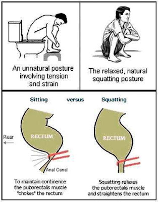 Lebih Baik Berak Mencangkung Daripada Berak Duduk - Melayu Media