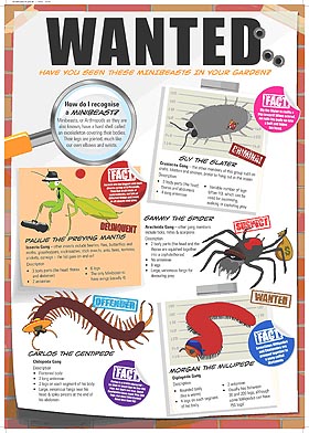 Studio Practice: Public Information Leaflets