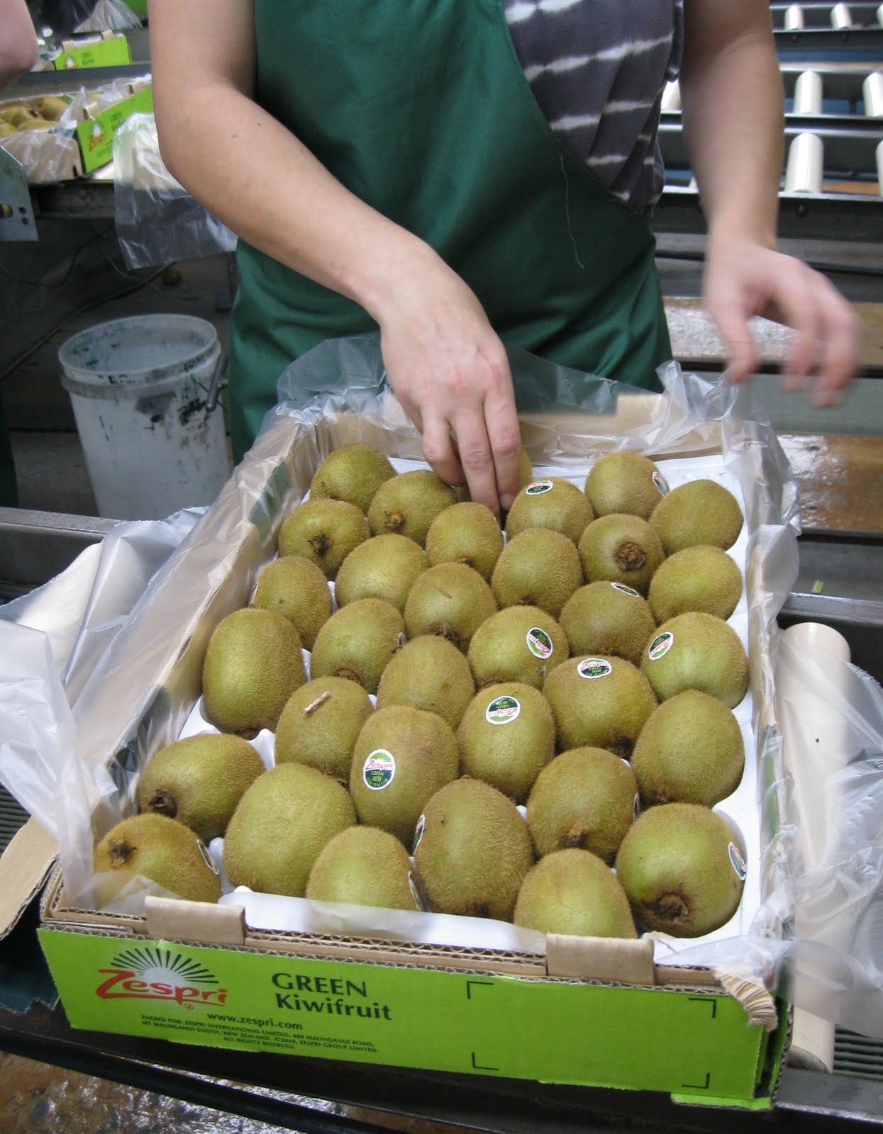 Quiltingorchardist: Wild Weather and Kiwifruit.