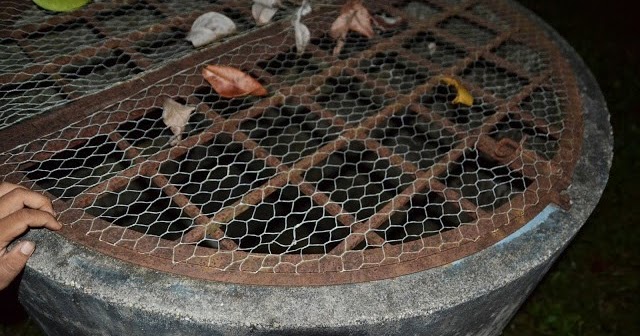 7 Perigi Berhantu di UKM: Misteri Yang Masih Menghantui Pelajar UKM ...