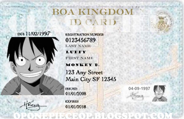 One Piece: LUFFY ID CARD