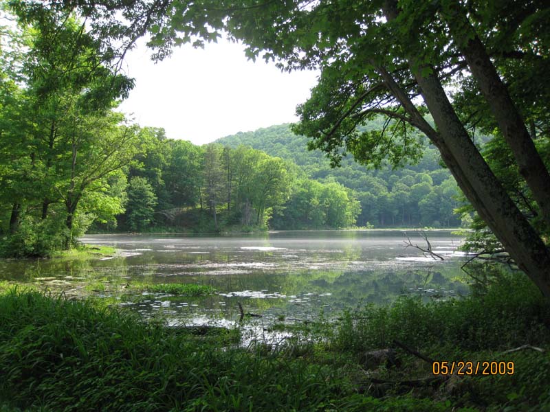 THE CONJURING (2013) – An Unconventional Review | Littlepunkpeople's Blog