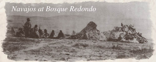 The Navajo: The Long Walk – Kristy McCaffrey