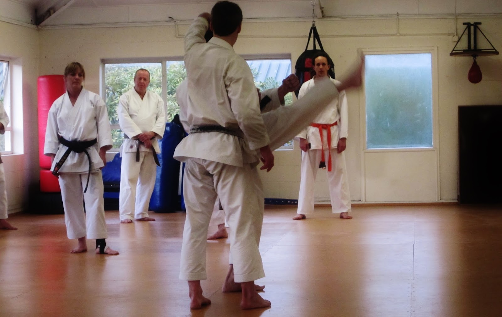 André Bertel's Karate-Do: July 2013
