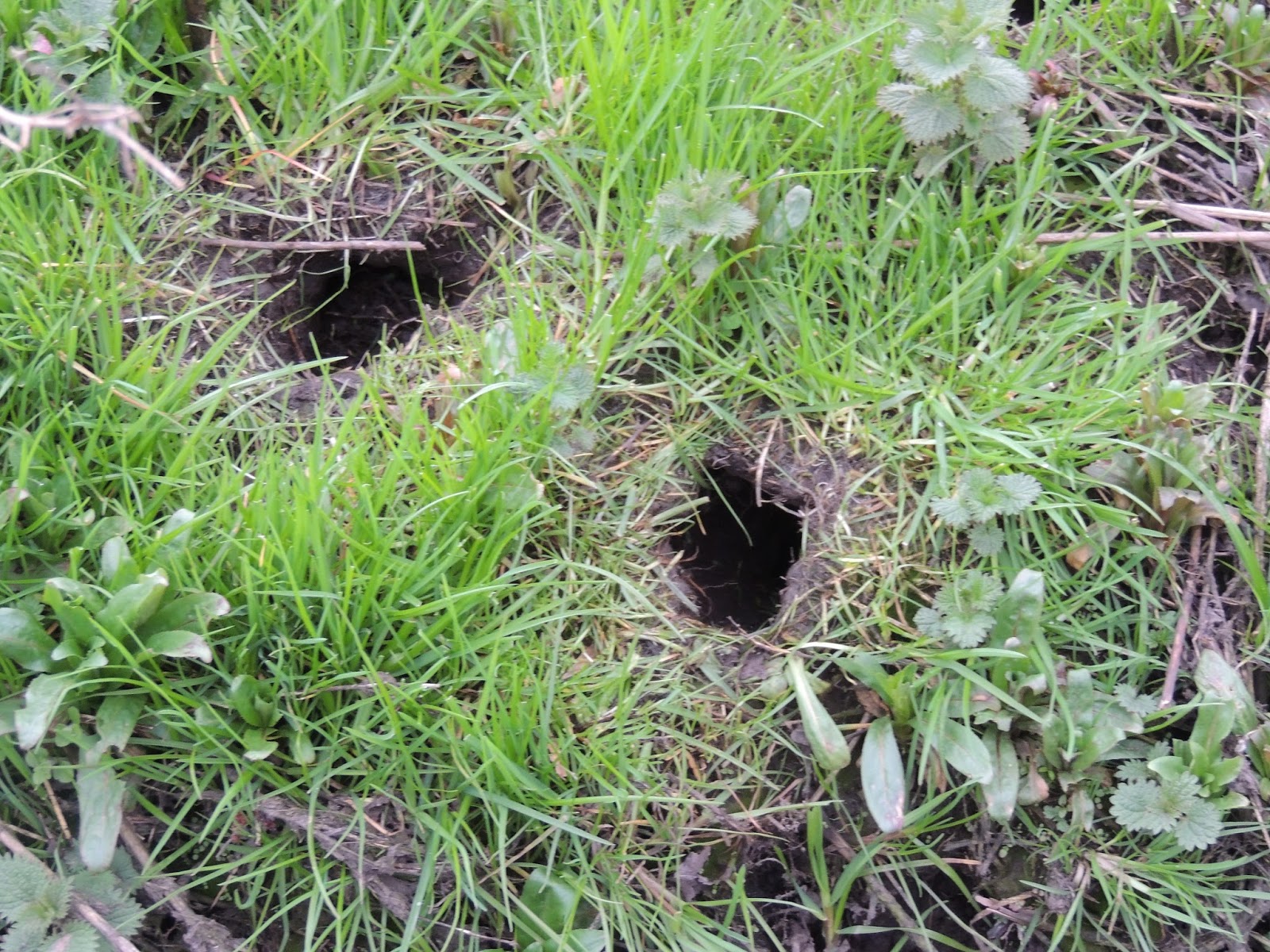 About a Brook: Gathering Momentum