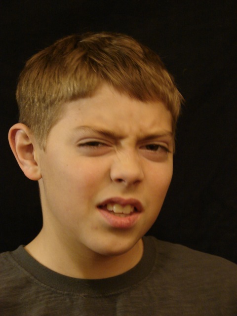 Cromofora La ( Paloma) Contemporary Online Art Gallery: DANIEL MAIDMAN