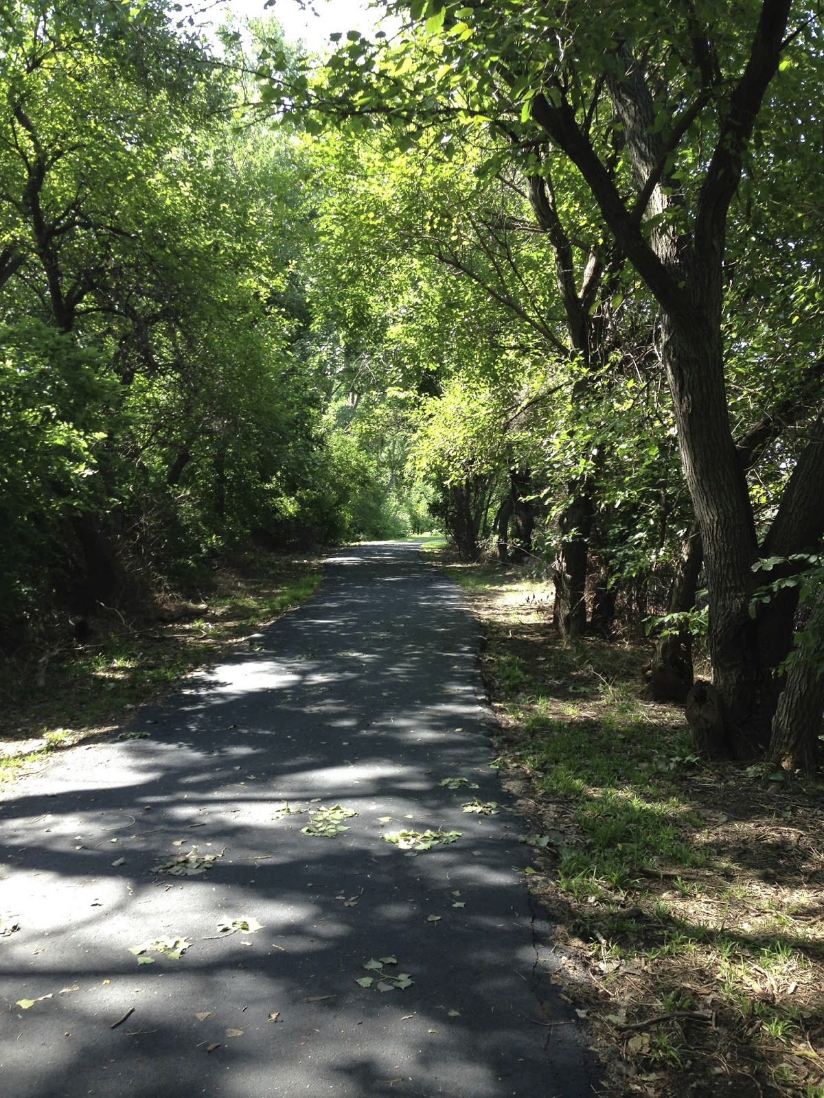 The Roaming Itinerant: Sedgwick County Park (Wichita, KS)