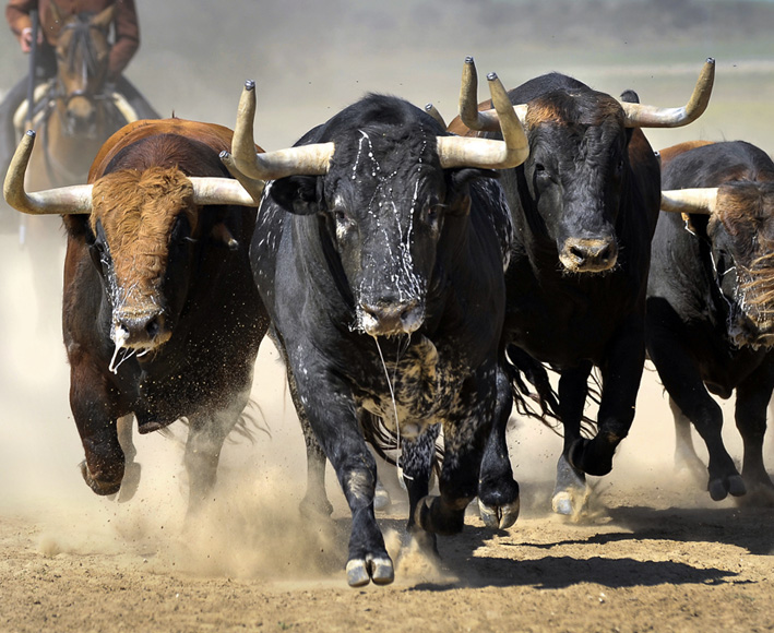 FOTOPALABRAS: Los Alburejos