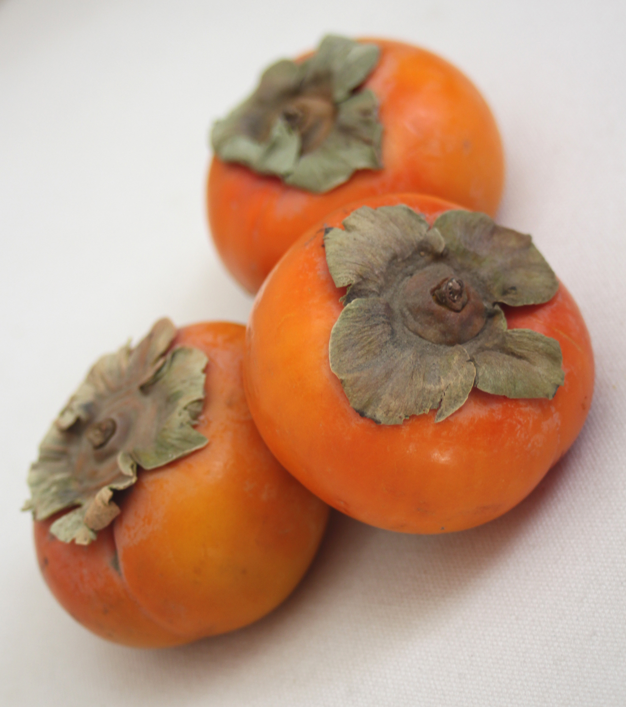 Phoenix Family Foodie Blog: Healthy Holiday Recipes: Chopped Fennel and ...