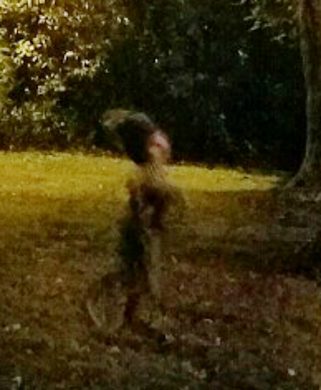 Strange Creature Photographed in Park ~ The Crypto Crew