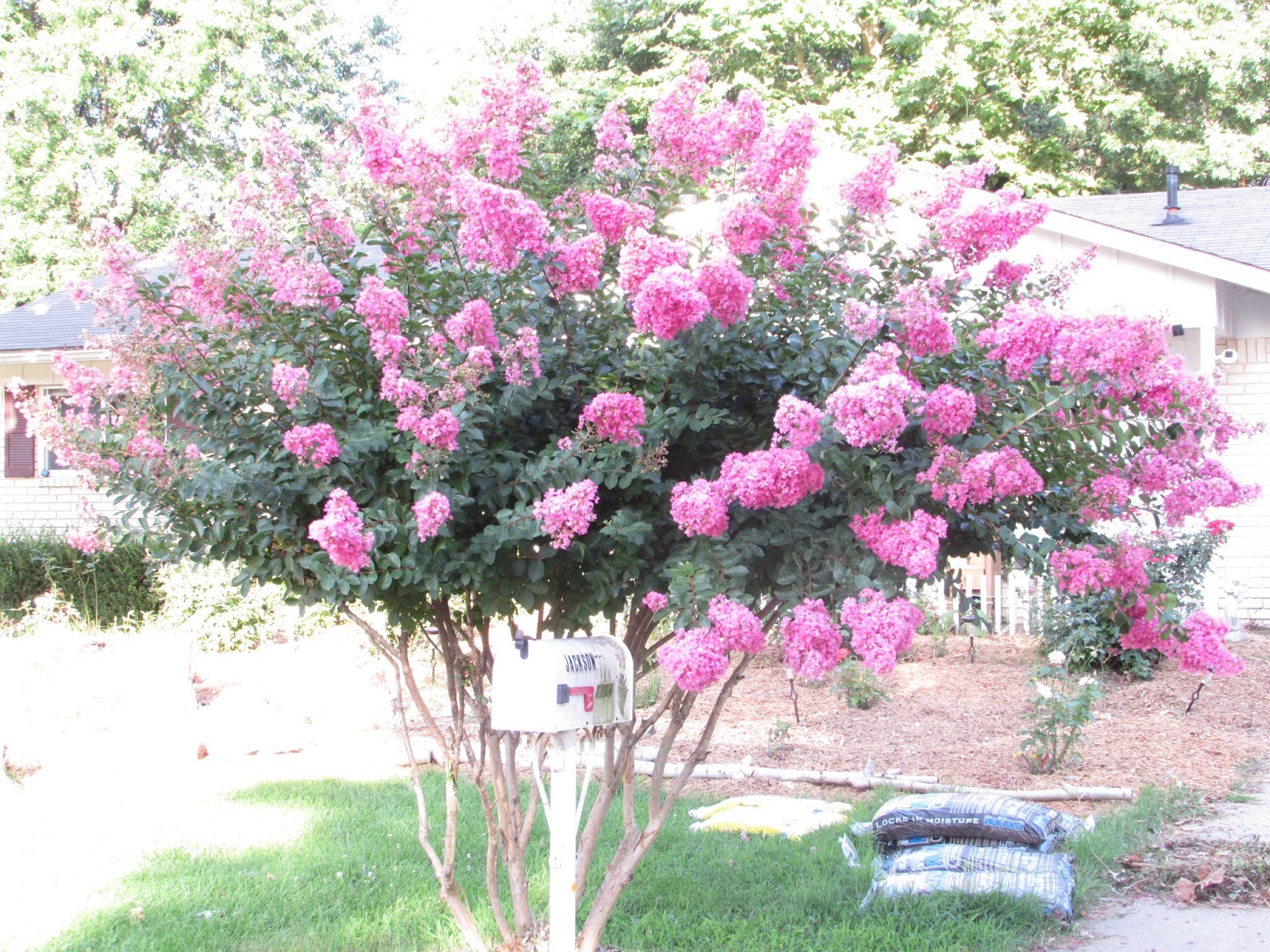 Ichabod, The Glory Has Departed: Before and After - The Long-Awaited ...