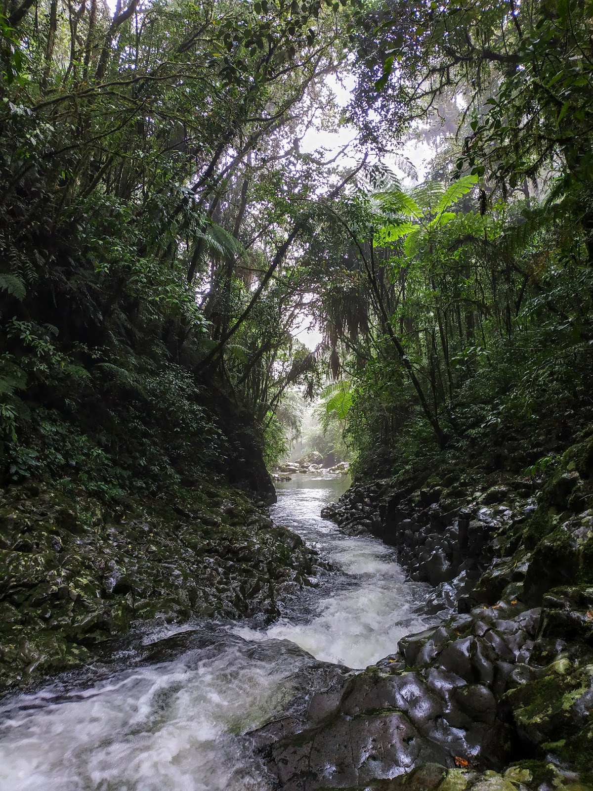TravelBudDear: Sicao Falls, Davao City
