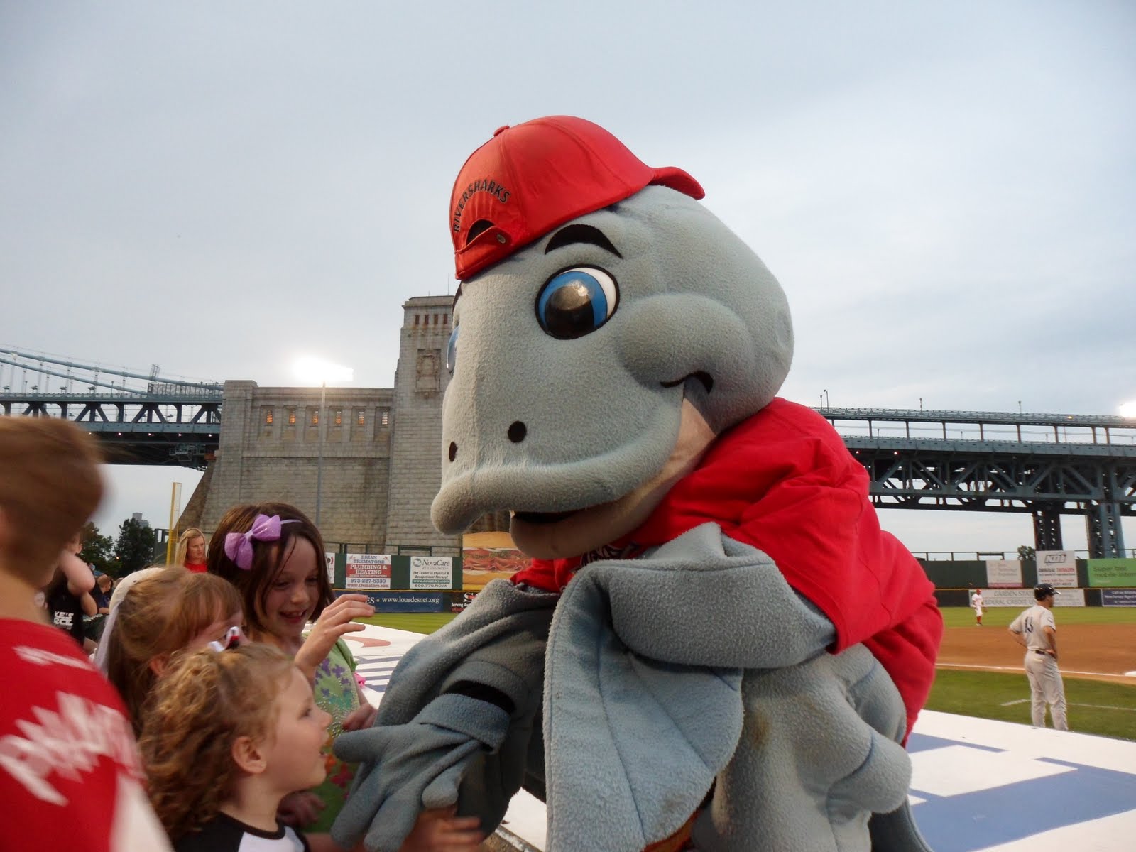 Shark Bytes: A Camden RiverSharks Blog: Mascot Randomness