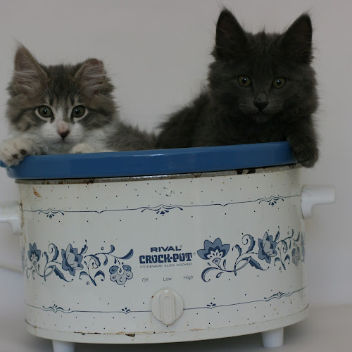 A Year of Slow Cooking