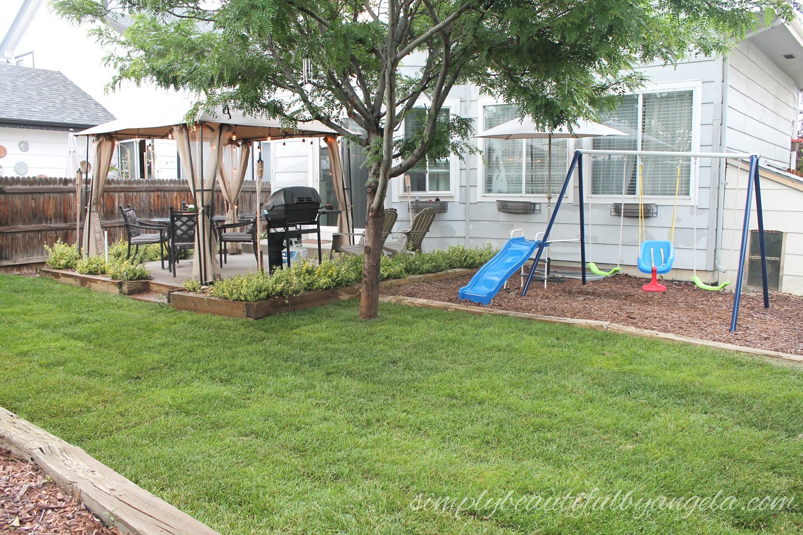 Our Wild Backyard Progress