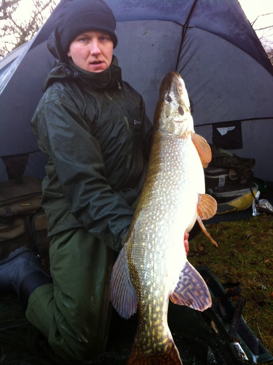 December Fish of the Month Entry - Highland Pike!