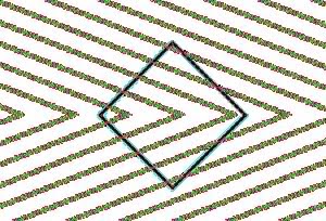 20 Amazing Rare Optical Illusions That'll Blow Your Mind //SpreadIt_tk