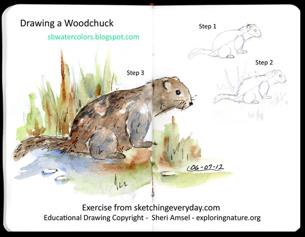 *Sketching Every Day*: How to Draw a Woodchuck