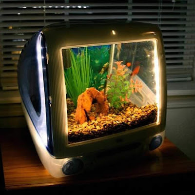 Amazing 2013: 10 Cool and Crazy Fish Tanks