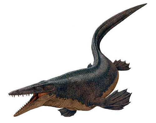 Mundo Pré-Histórico: Mosassauro