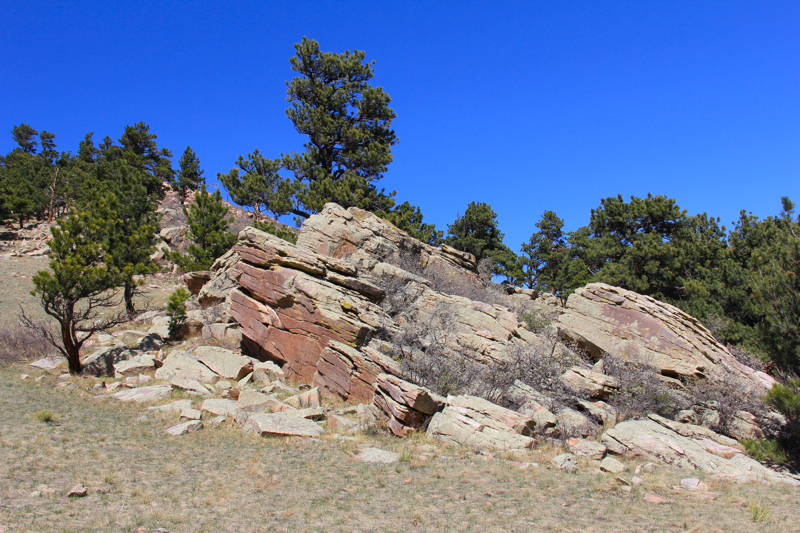 Colorado Lifestyle: Hogback