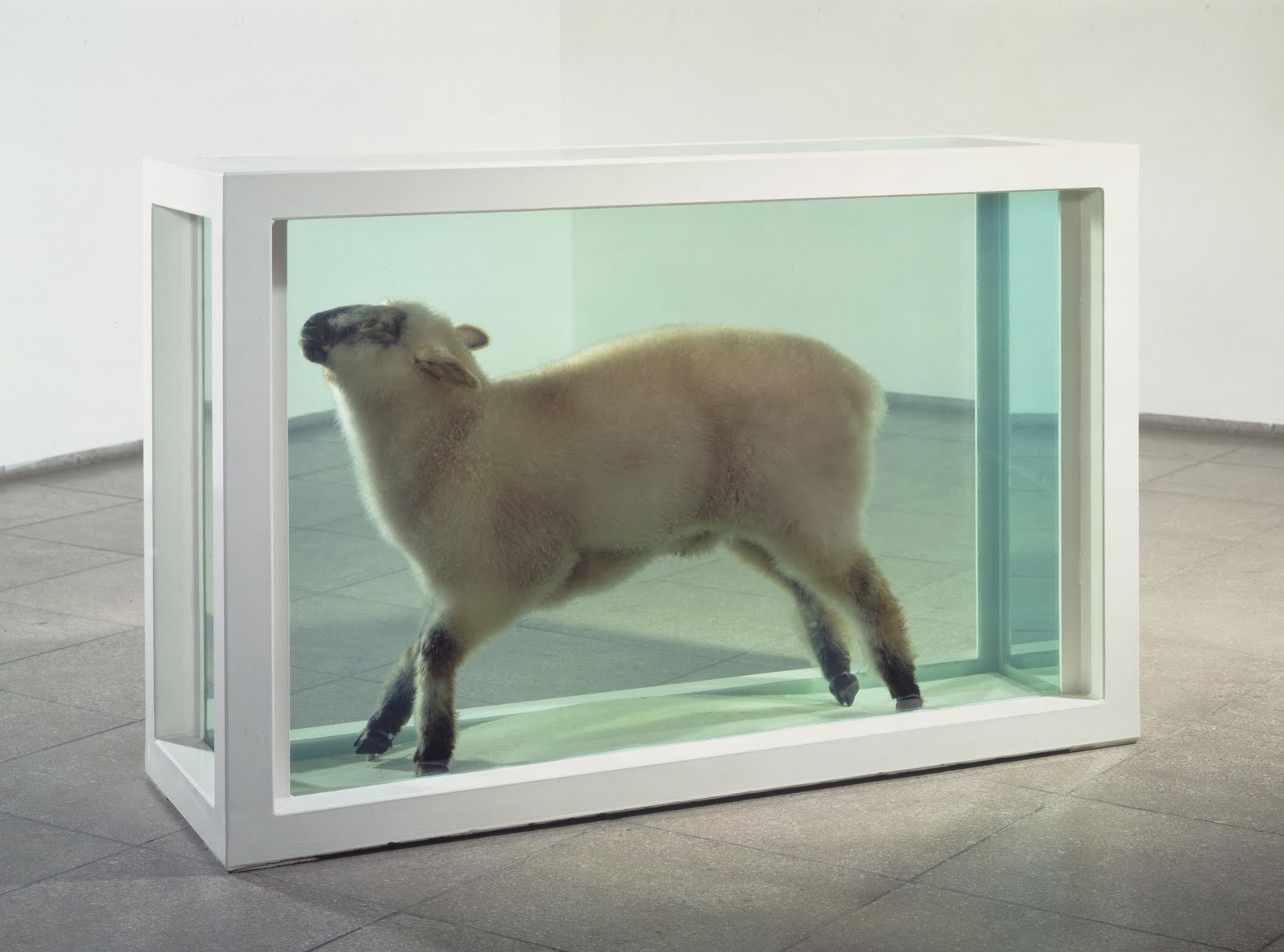 Leeds Art Gallery opens doors for first-ever Damien Hirst exhibition