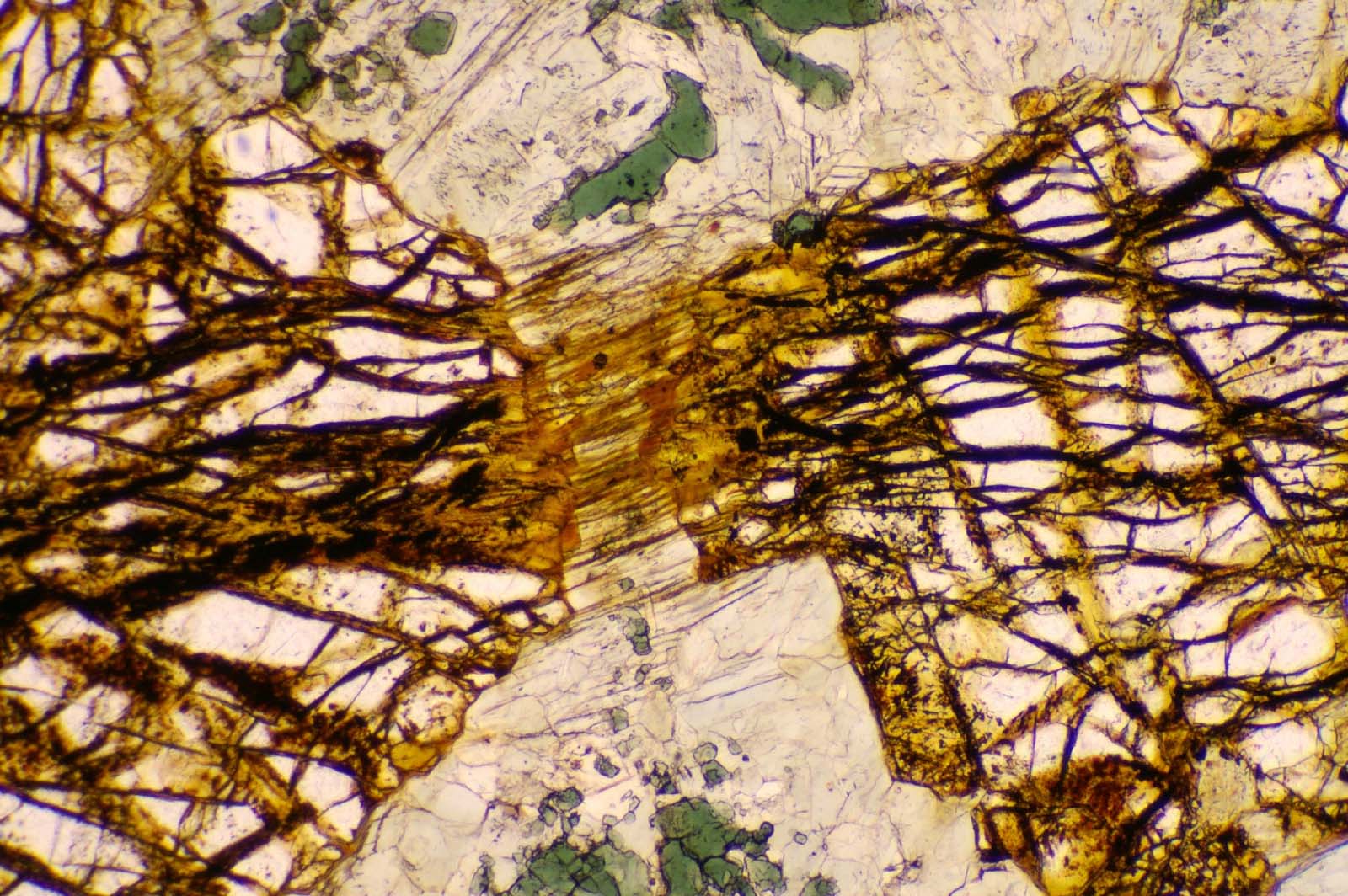 Peridotites: Cumulate olivine and interstitial pyroxene in igneous ...