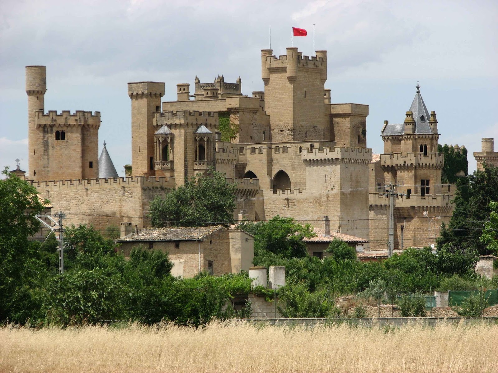 VIZCAYADO: PALACIO REAL DE OLITE, NAVARRA