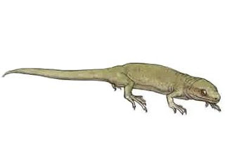 Outras Verdades Inconvenientes: De onde você (REALMENTE) veio?