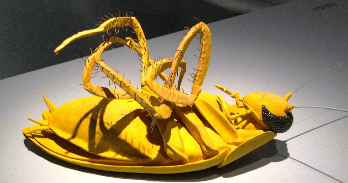 artiststory: Don’t Forget That Bugs and Birds Were Created Before You