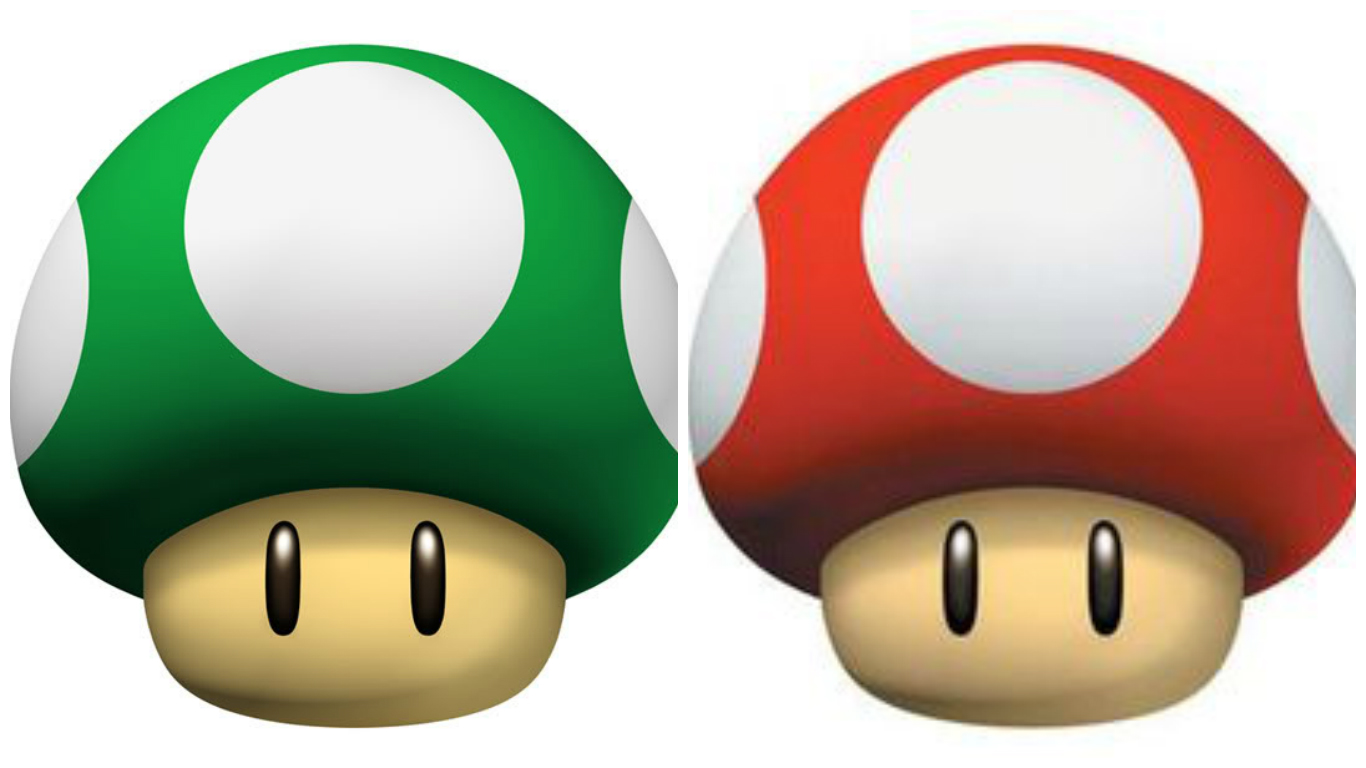 Ini Jamur Paling Mahal Di Dunia - Ghumi