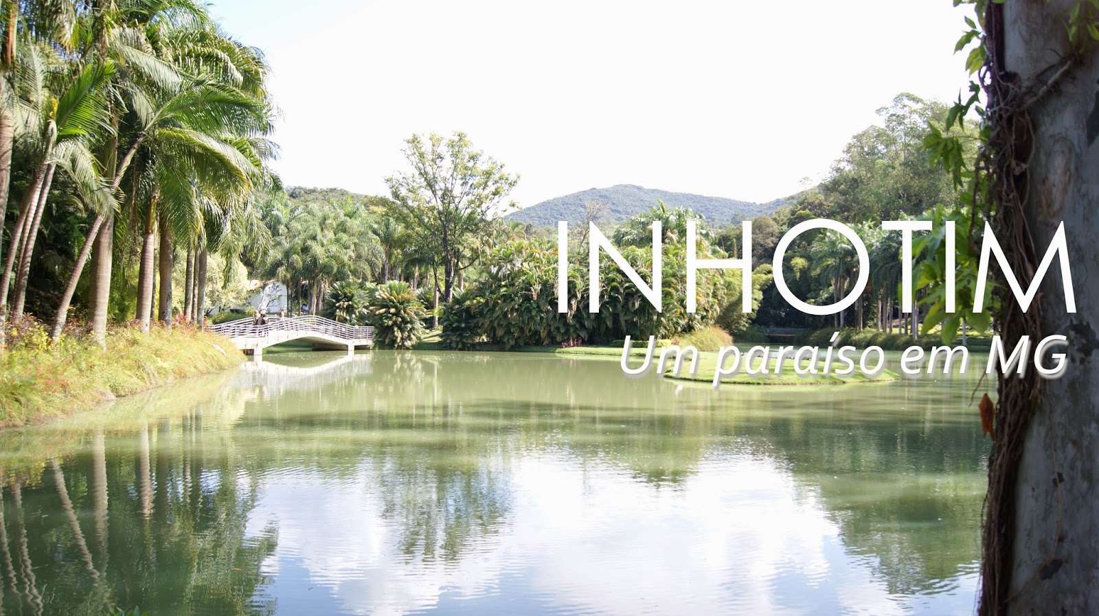 Teia Design: Parque de Inhotim - Brumadinho/MG-Brasil