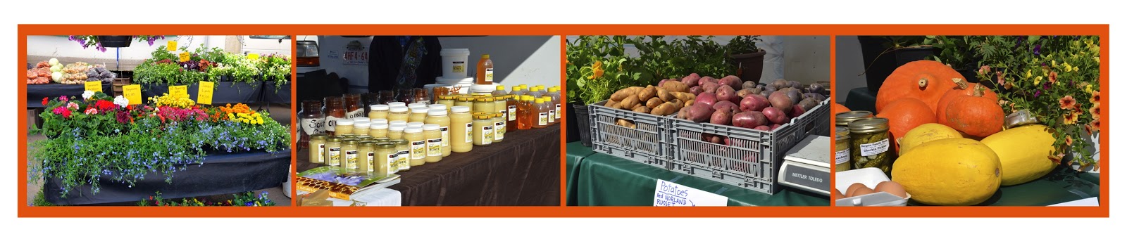 Southwest Edmonton Farmers' Market: Fresh Sheet: May 29th