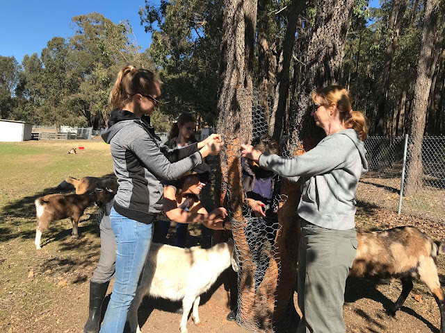 Possum Valley Animal Sanctuary Inc.: Native Arc Visit Possum Valley