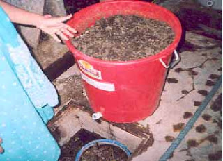 Ruchi Group India: Vermiwash