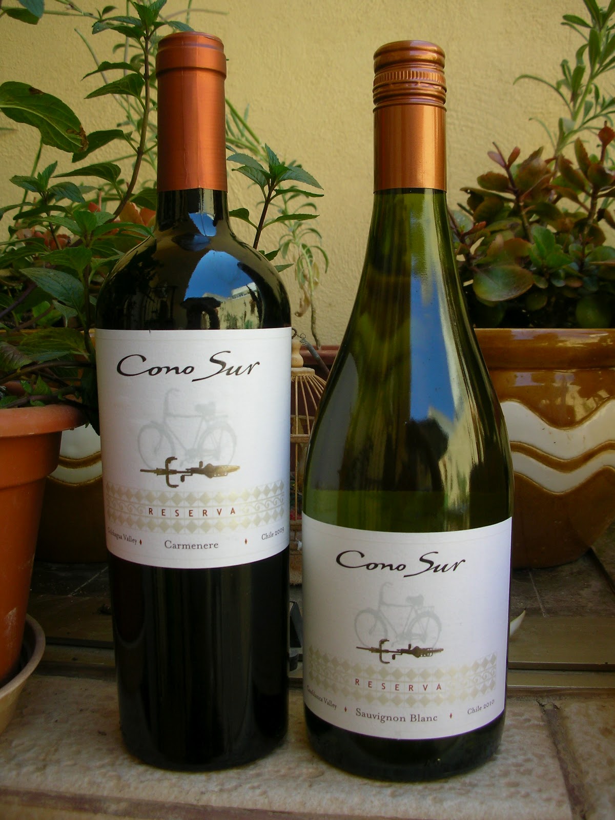 WINE:Reno Spiteri's Wineopolis.: Cono Sur Premium Wine from Chile.