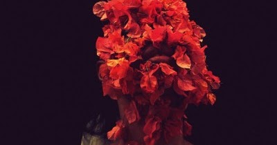 Reina de las Fabricas: WEIZ DHRUM FRANKLYN