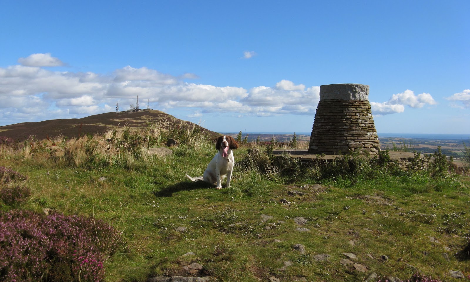 Neil's Hillwalking Exploits: Craigowl