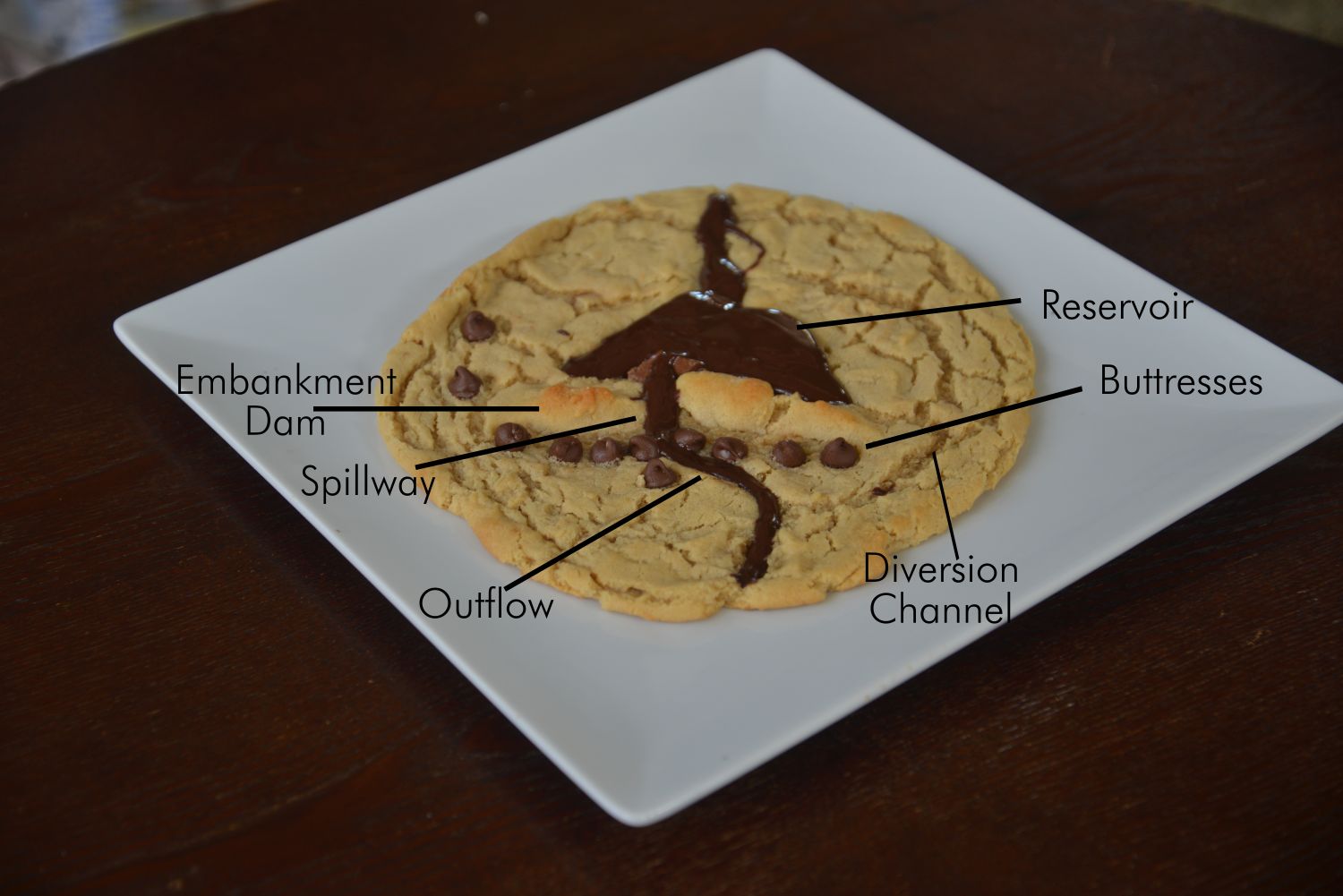 A school of fish: August 2012