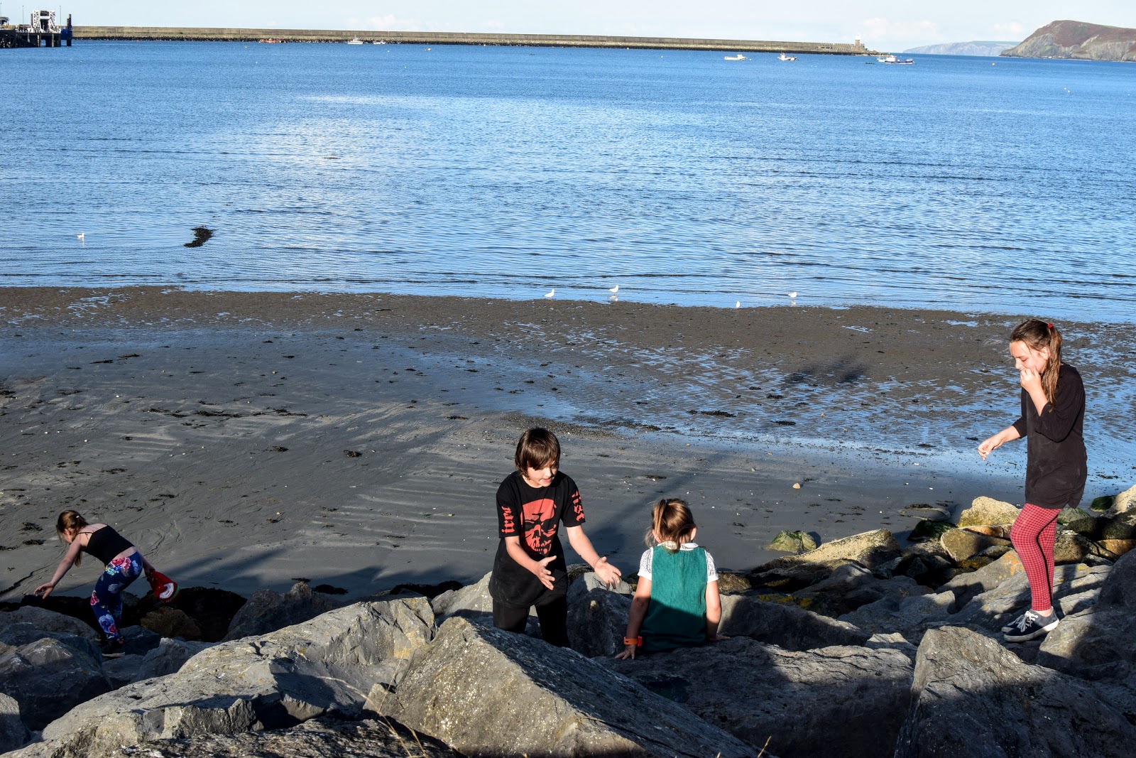 A Good Day in Goodwick, October 2016 - Diary of the Evans-Crittens