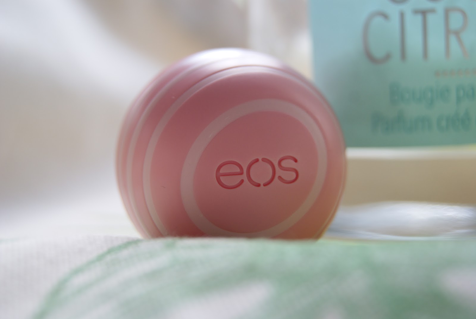 EOS, ces drôles de petits oeufs - à la lumière du jour