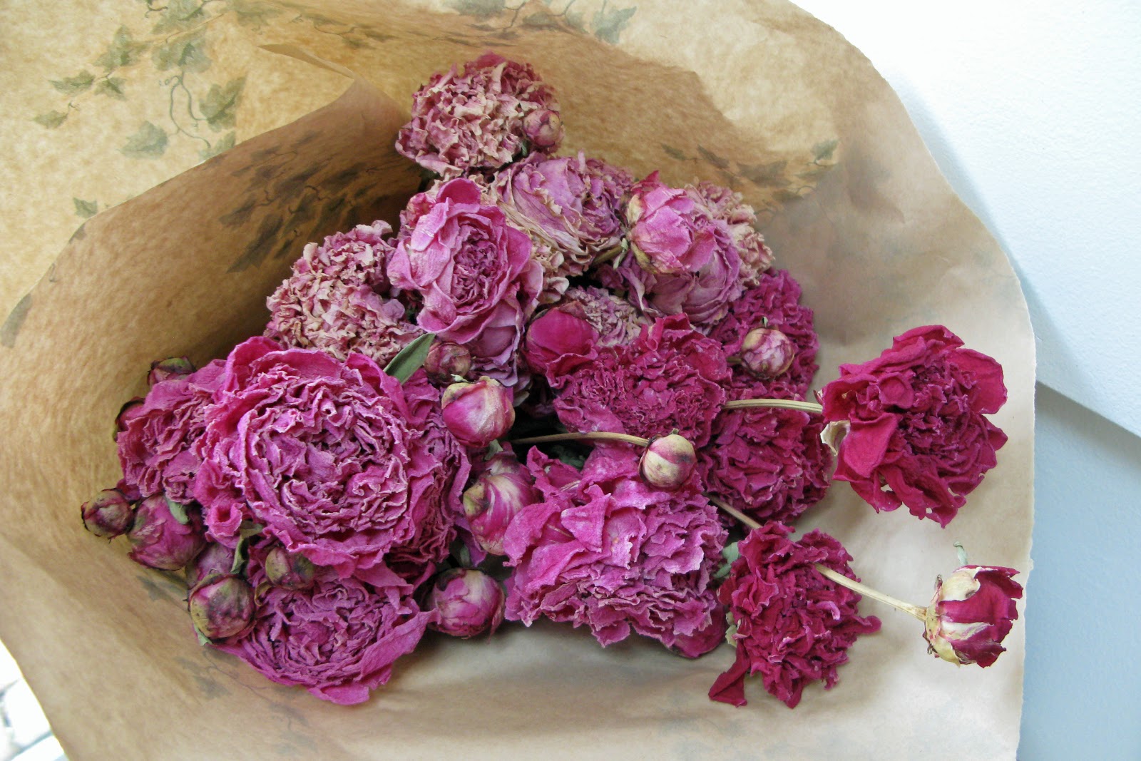 Just*Grand: Peonies in November